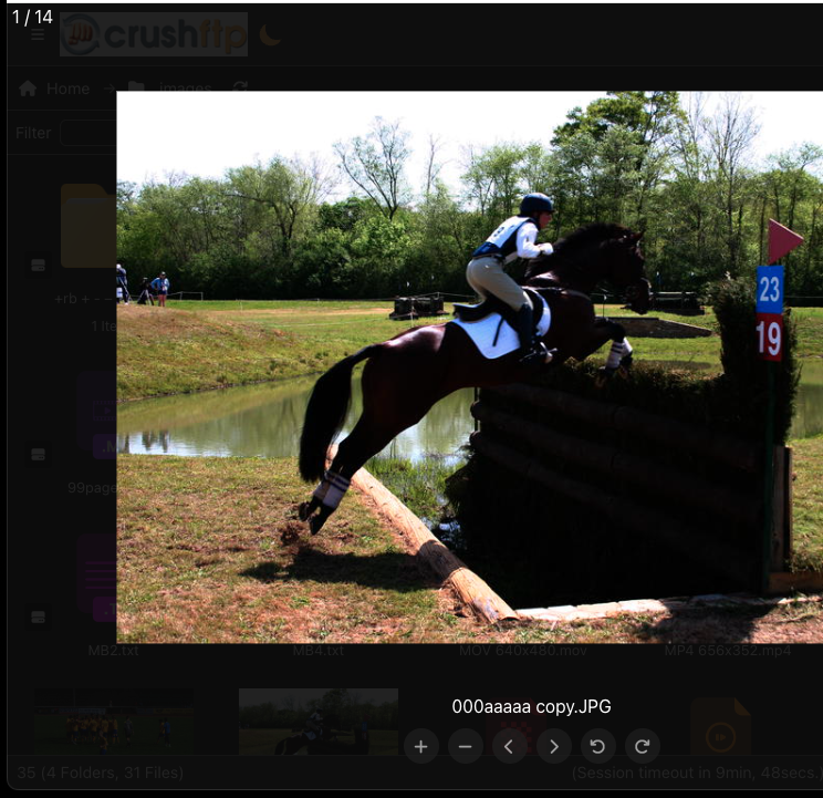 Crush11wiki: quick_preview.png